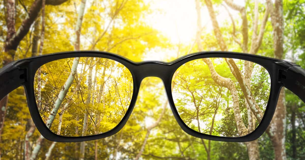 Low Vision Rehabilitation: Improving Quality of Life